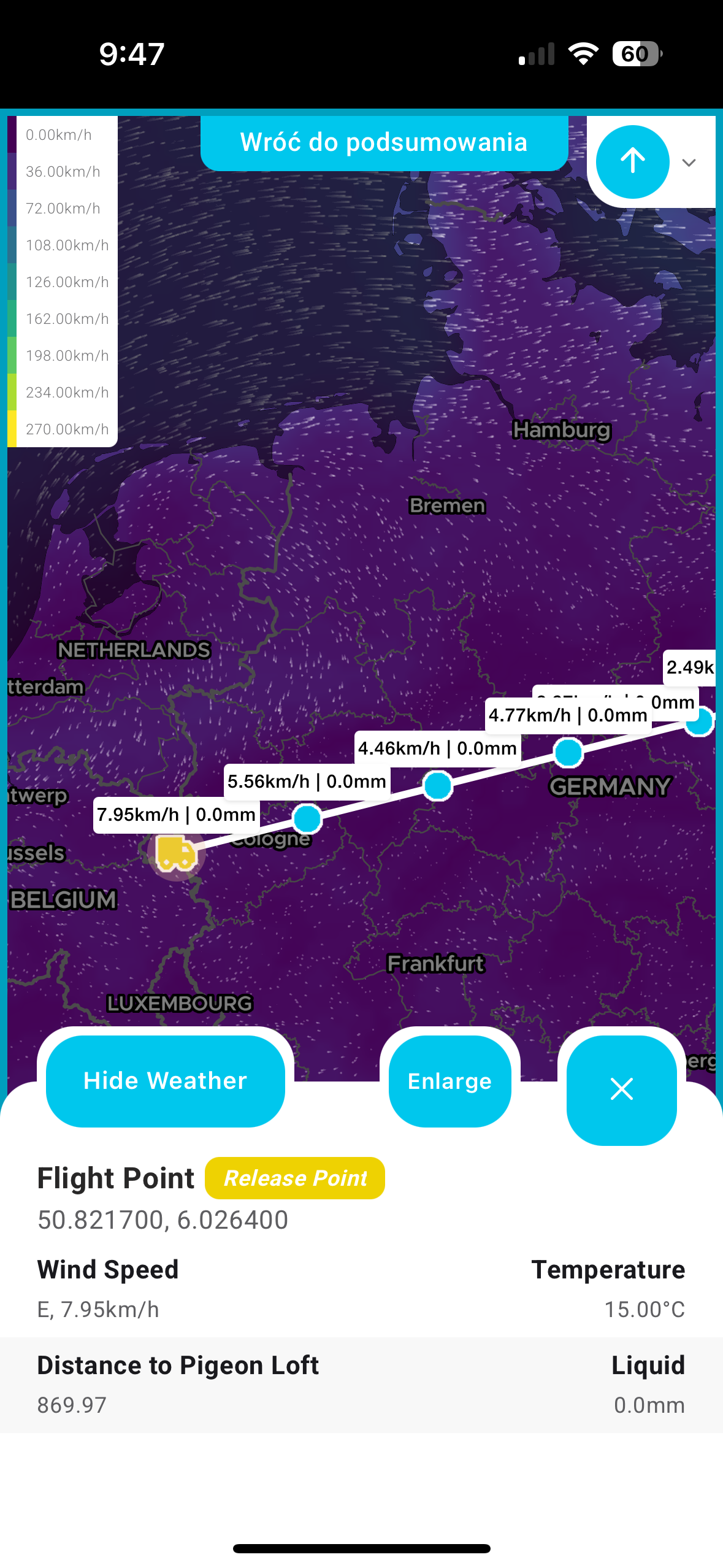 Pigeon Map